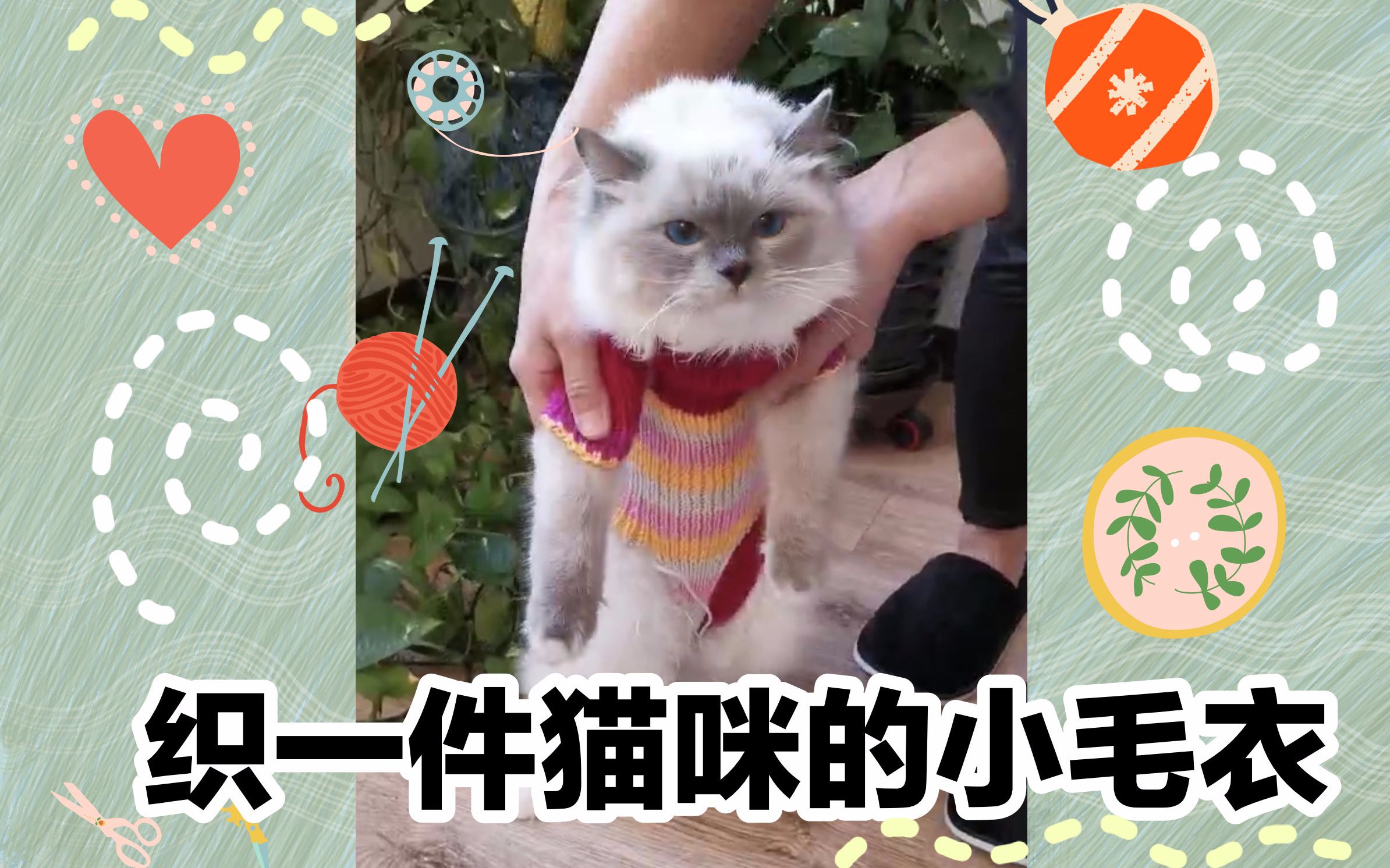 一针一线,给喵喵织一件暖和的小毛衣,人靠衣装,猫靠喵装,喜欢编织的...