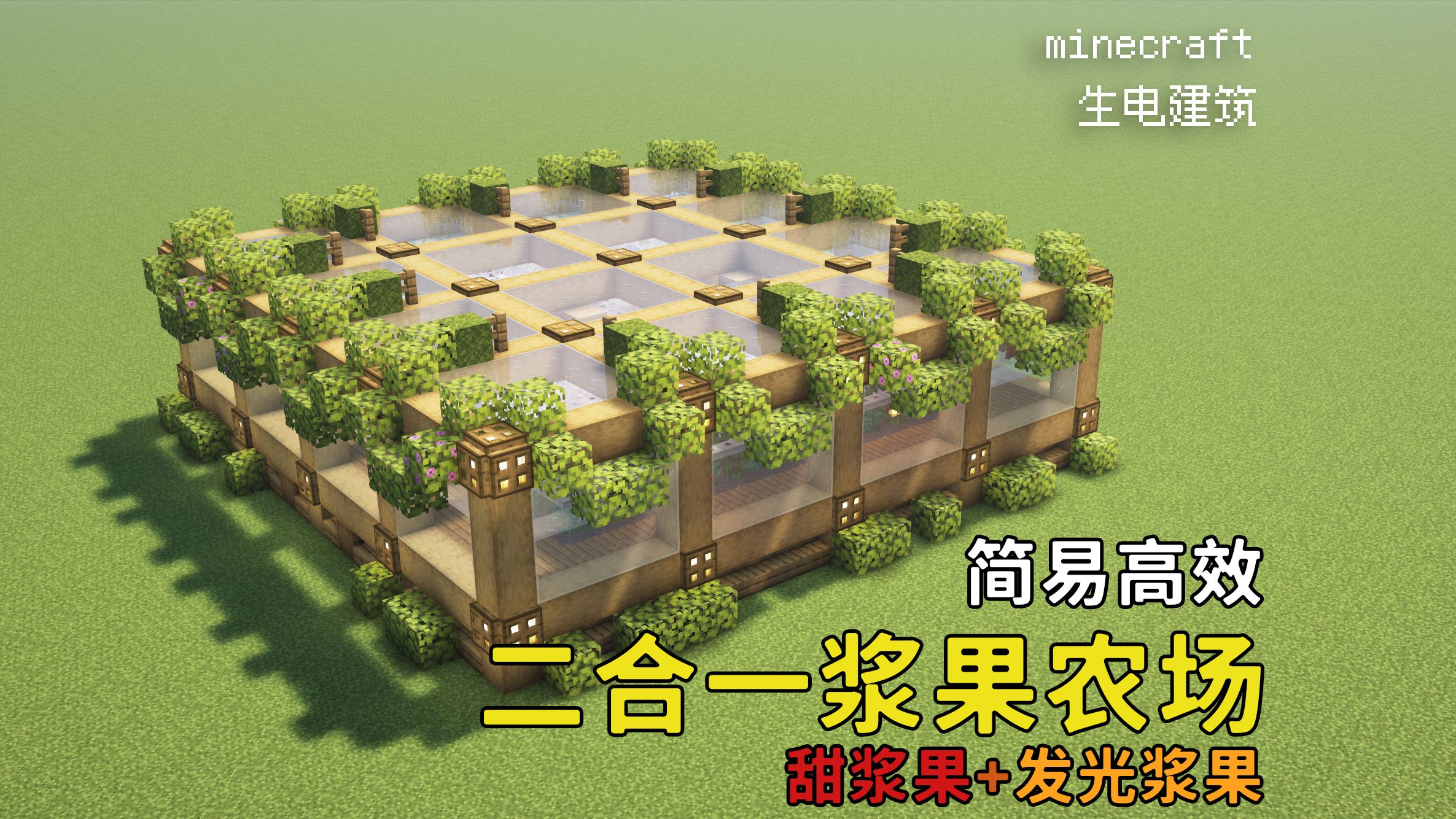 【我的世界】简单高效的二合一浆果农场(发光浆果+甜浆果),效率2300/...
