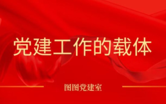 什么是党建工作的载体?【下集】