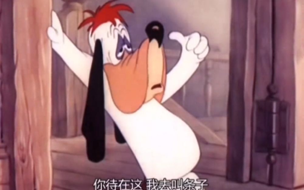 【杜皮狗】我不允许你没有看过这部动画