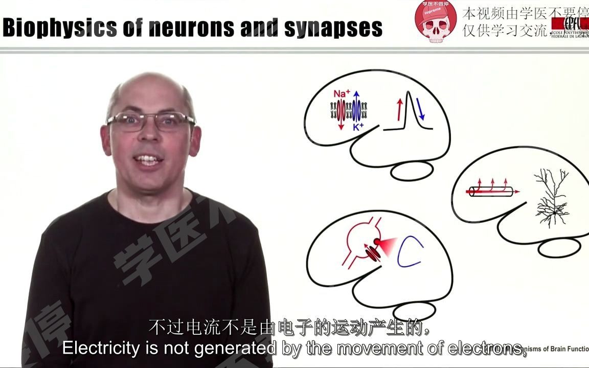 【脑功能的细胞机制】| 新课程来啦!那天谁要看这个来着,快出来!