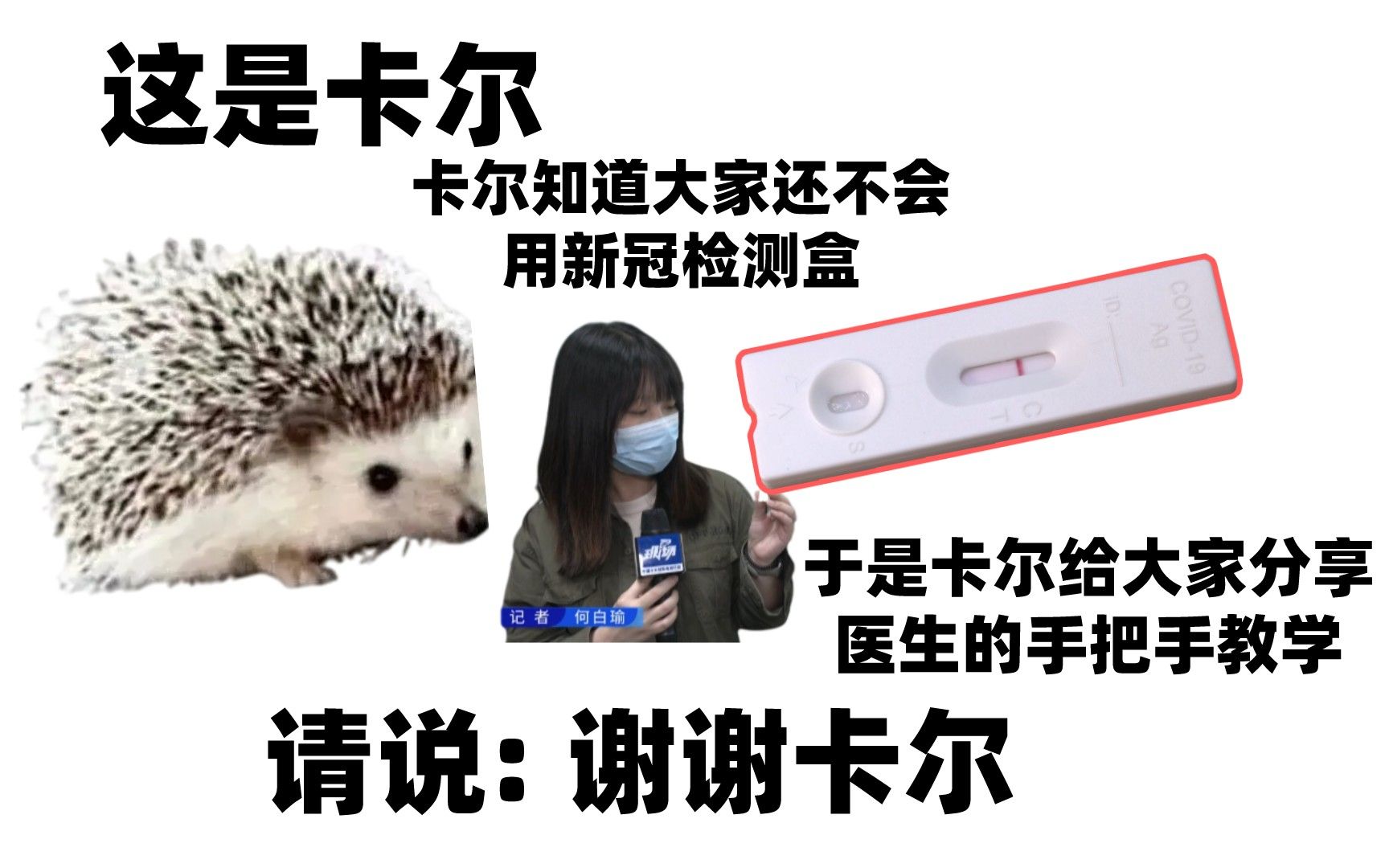 还不了解新冠抗原自测试剂盒?看这个就够了