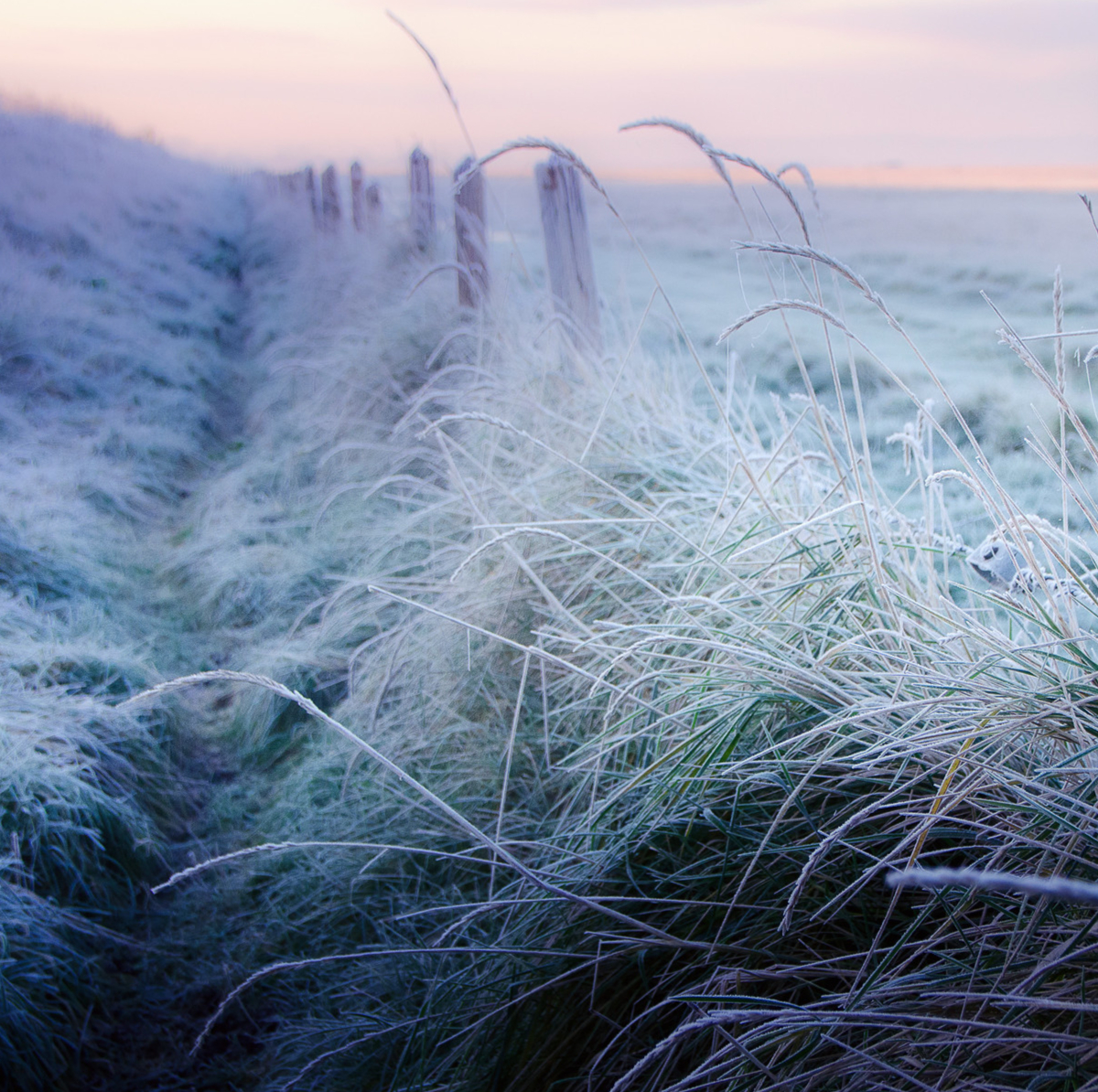 星空娱乐-星辰大海 