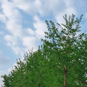 太菜的小陈 