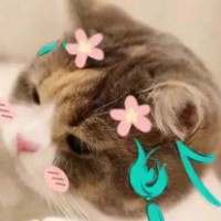 栀栀呐- 