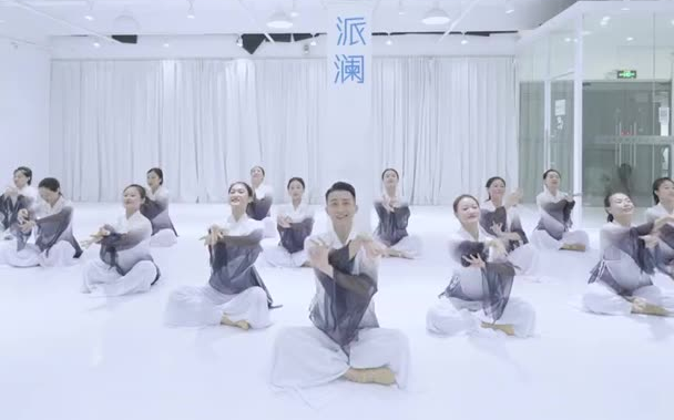 简单易学古典舞 在家里也可以跟着练习的