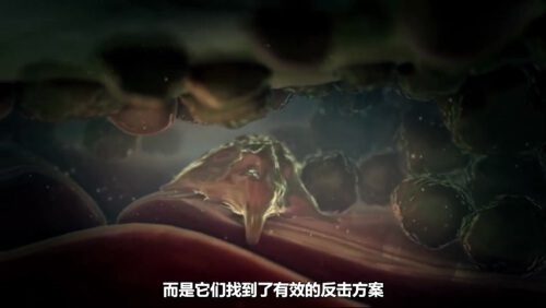 癌细胞是怎么来的?什么是癌症免疫疗法?(中)