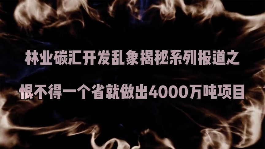 林业碳汇开发乱象揭秘系列报道之恨不得一个省就做出4000万吨项目