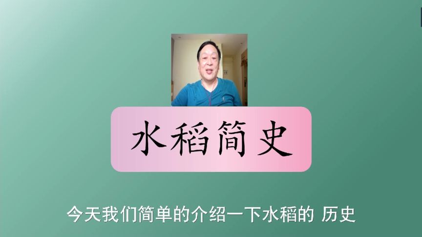 水稻简史 感谢祖先不懈努力我们才得以活下来