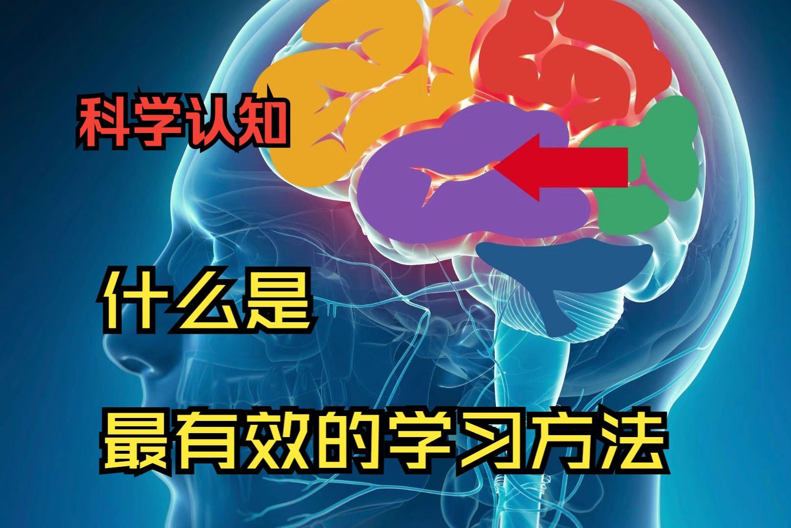 有点痛,但最有效的学习方法-- 基于脑科学 How to Do ACTIVE RECALL ...