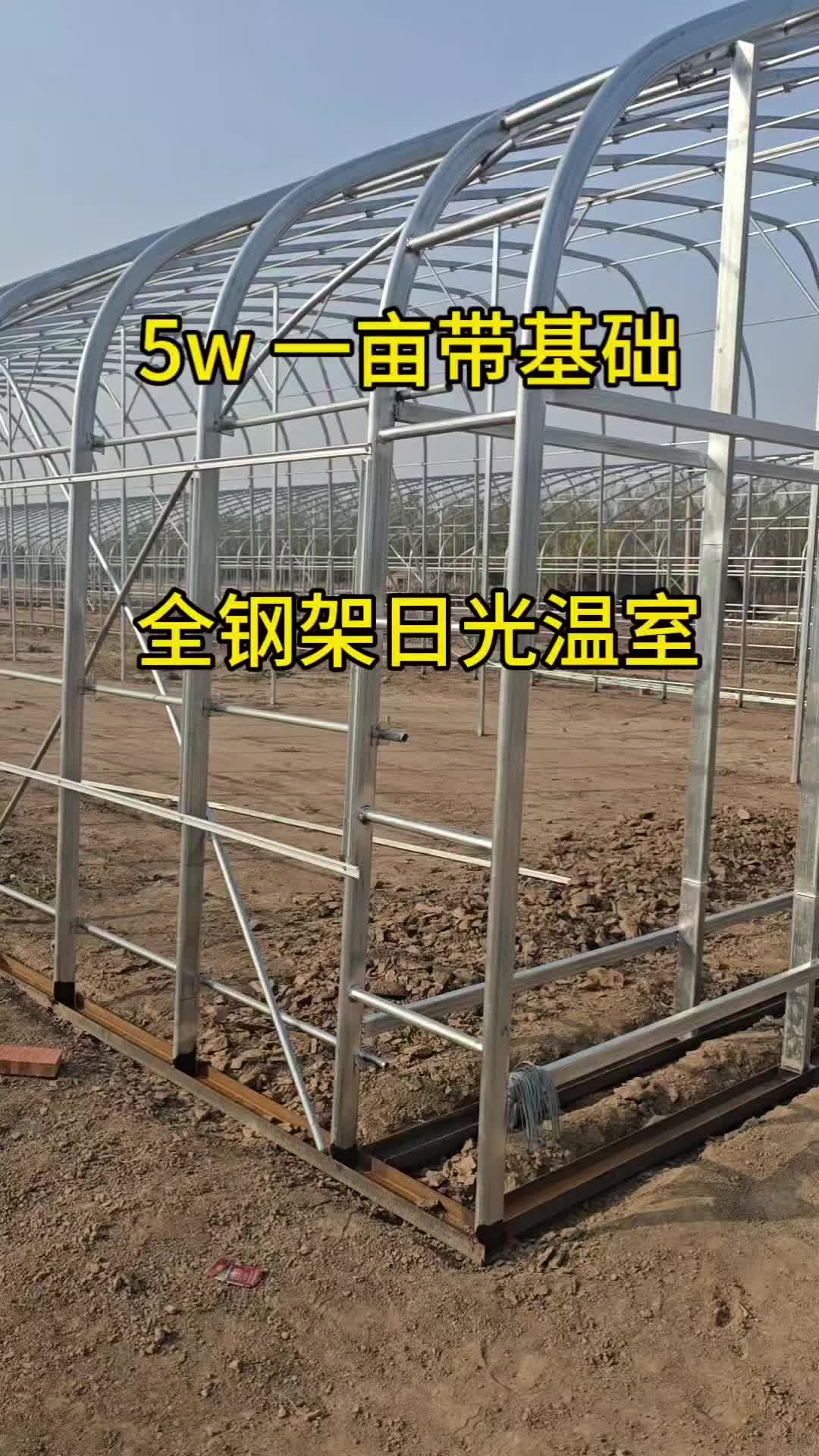 适合北方零下 20 度使用的全钢架暖棚 #新农人计划 #大棚搭建 #乡村...