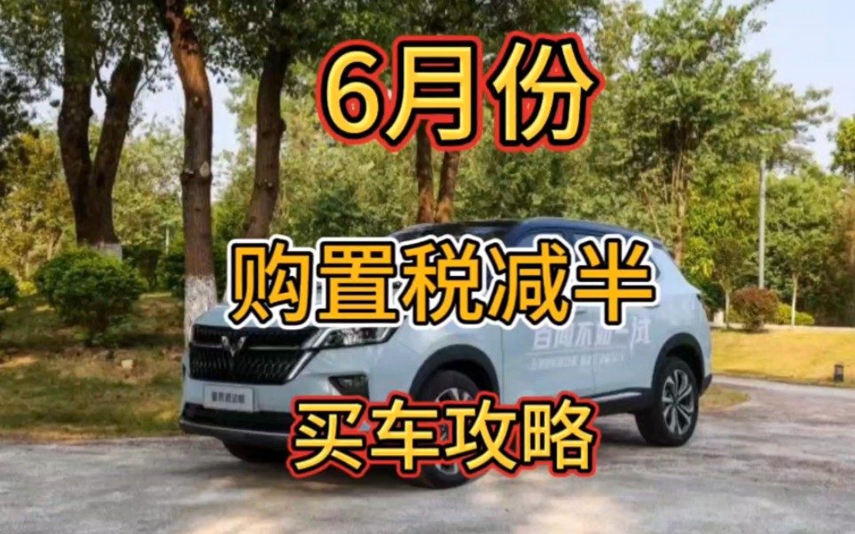 6月份购置税会减半吗?新手买车别大意,分享买新车的注意事项