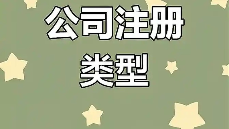 常见公司注册类型解析