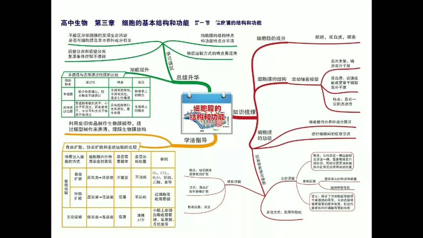 细胞膜的结构和功能