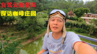 旅者自驾到云南普洱,这里是云南小粒咖啡的主产区,40块一位免费喝...