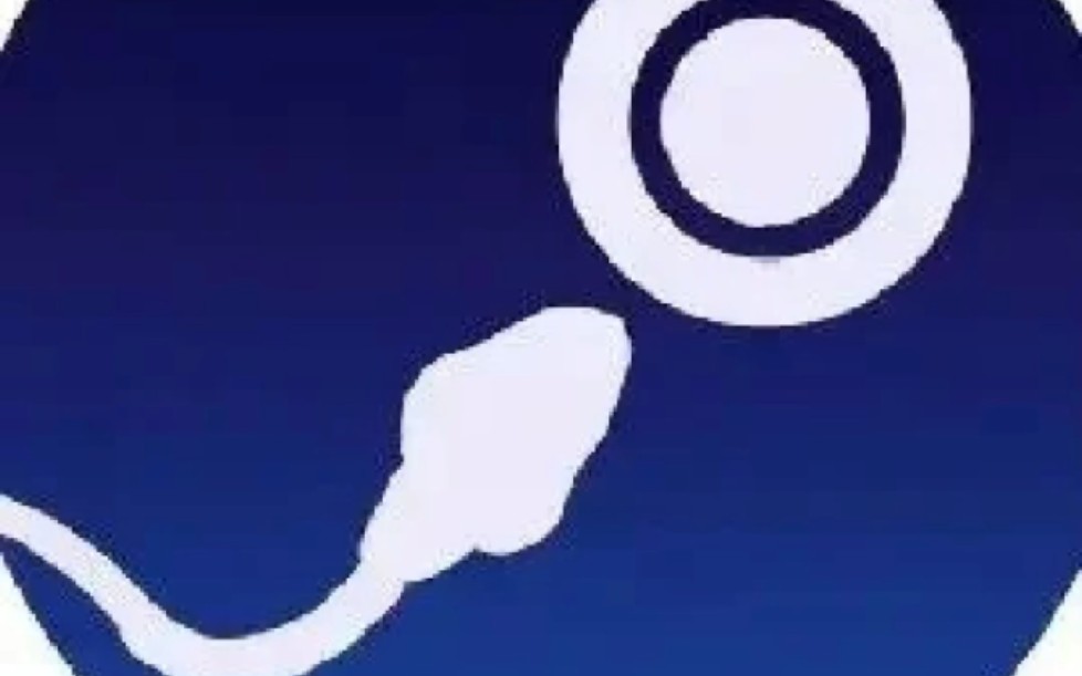 大佬们能不能看看,我下载的哪个Steam是正版?