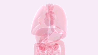 [生命/LIFE]模拟注射死刑(静脉注射过量氯化钾)