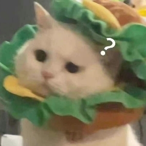 超笨小猫 
