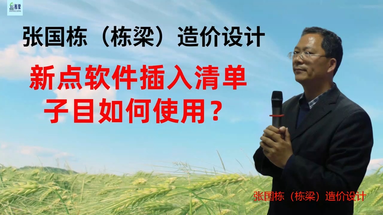 张国栋(栋梁)造价设计:新点软件插入清单子目如何使用?