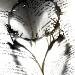 小可真的不是卷王 