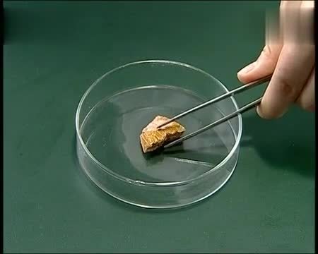 化学实验6.钠的性质