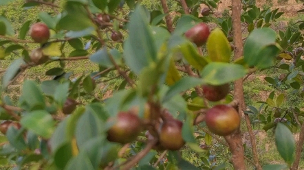秋天是心血管疾病多发季节,天气变凉,皮肤和皮下组织血管收缩,周围...
