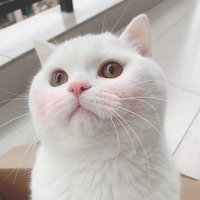 搞笑兜兜