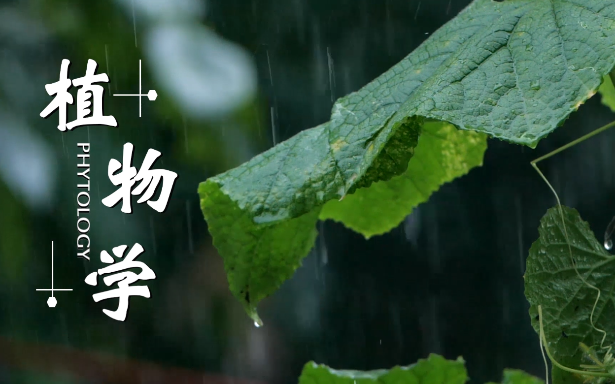 【中国农业大学】植物学 刘朝辉 孟雷(88讲)