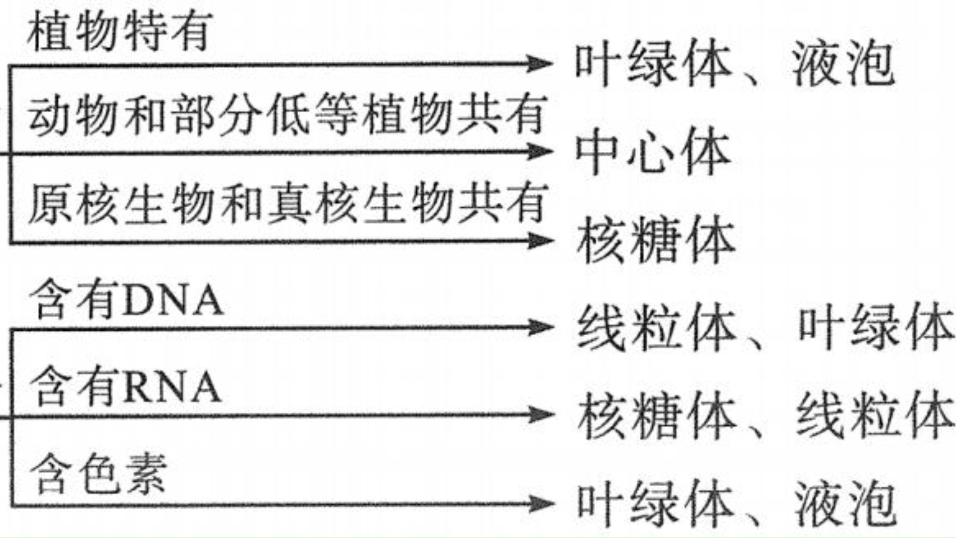 16.细胞器归纳?