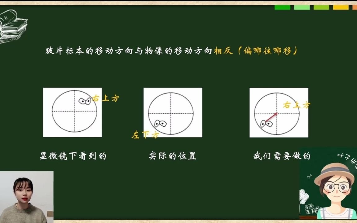 #叶子讲生物 第十二期 显微镜的成像原理,本期主要讲解显微镜的成像...