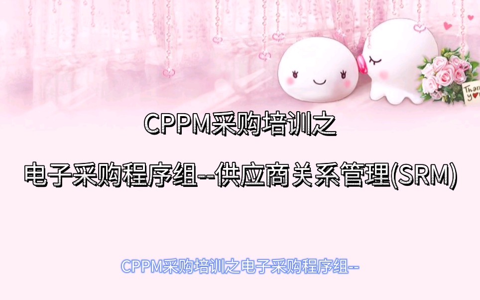 CPPM采购培训之电子采购程序组—供应商关系管理(SRM)