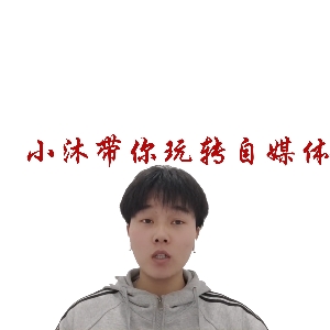 小沐聊项目 