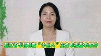 浙江省专精特新“小巨人”企业申报基本条件