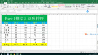 Excel排除汇总项排序