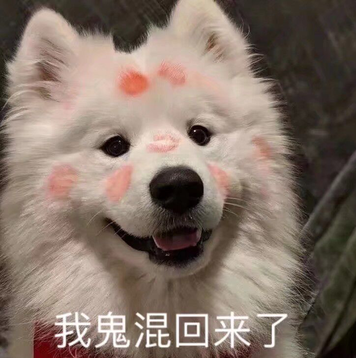 吉利吉利撅士 