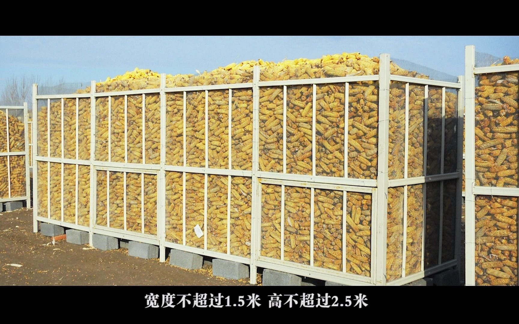农户科学储粮节粮减损技术服务宣传片
