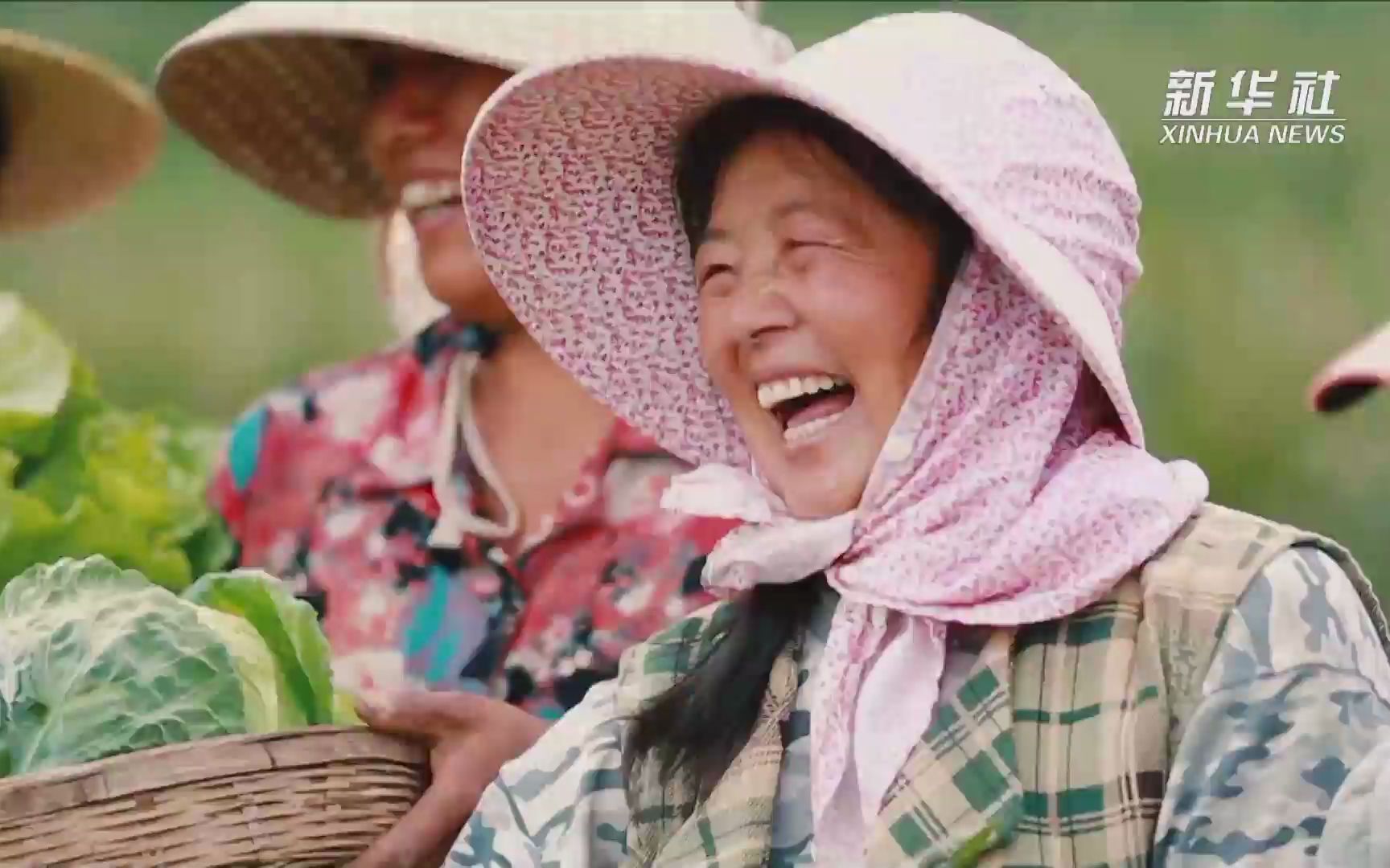 2022年中央一号文件提出推动乡村振兴取得新进展