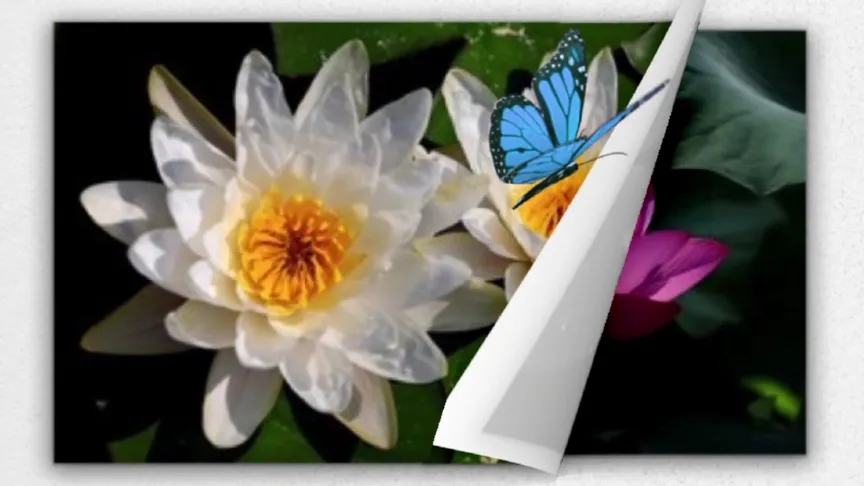 剪映制作翻页电子相册,用上转场、关键帧、贴纸、音乐等,美极!