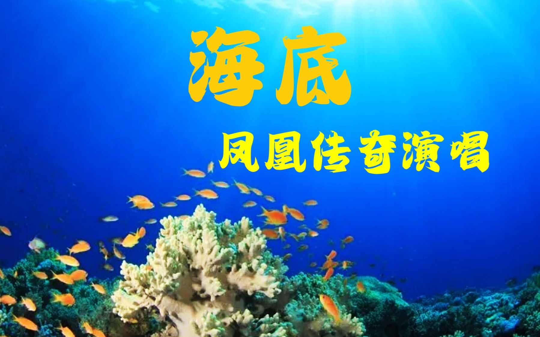 海底凤凰传奇演唱好听到一入魂秒