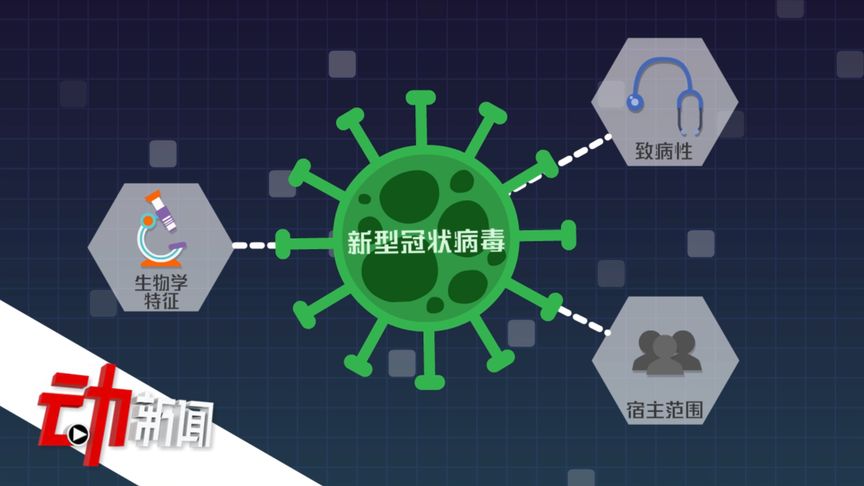 新冠病毒与SARS冠状病毒同组不同种 动画科普两者有啥区别?