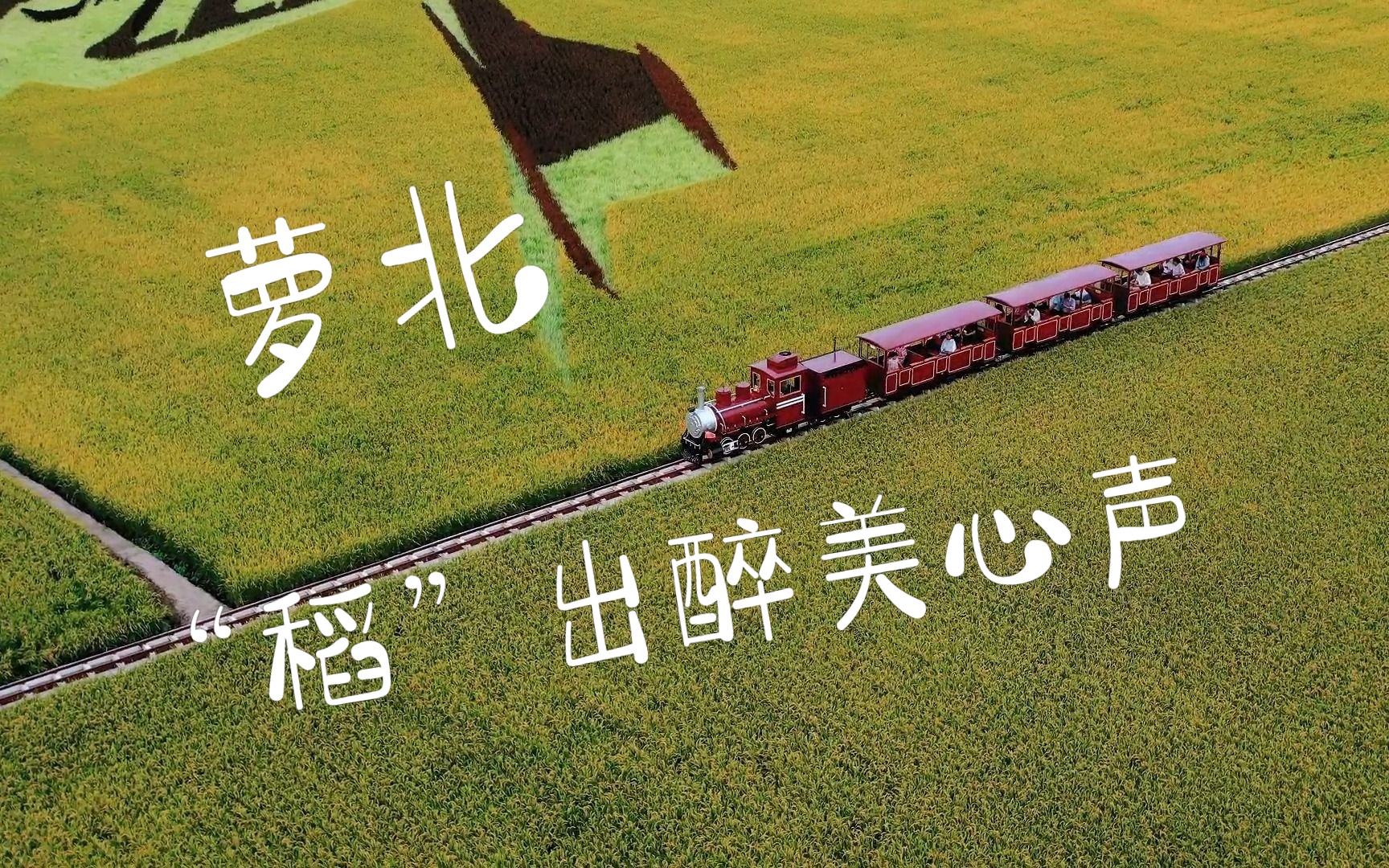五彩稻田画,传统农业与稻田艺术的融合 “稻”出“醉美”心声,欢迎您...