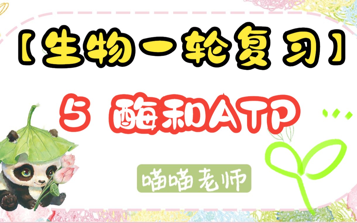 【细胞基础】5 酶和ATP 【一轮复习】