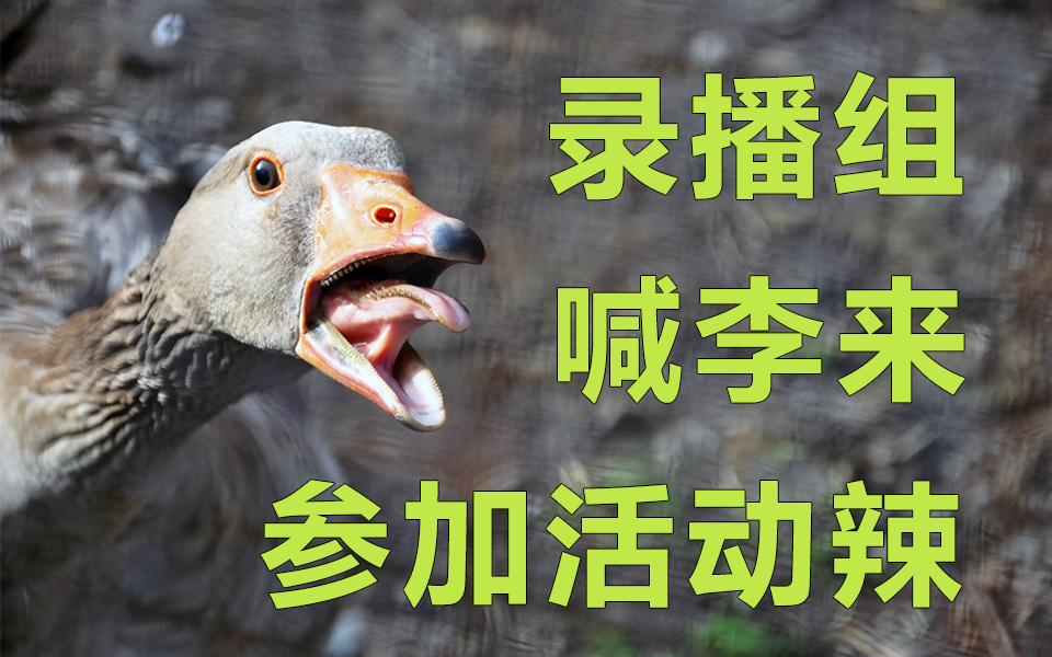 [老E 周年庆活动]候选汉化游戏宣传片合集