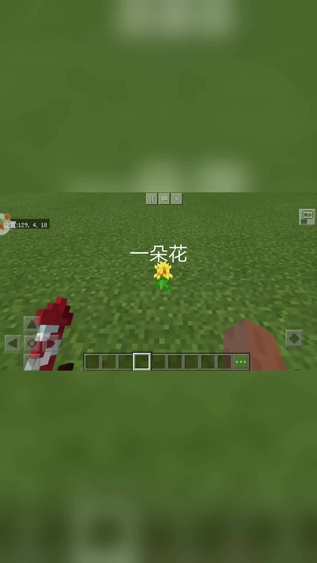 我的世界一朵花的故事。