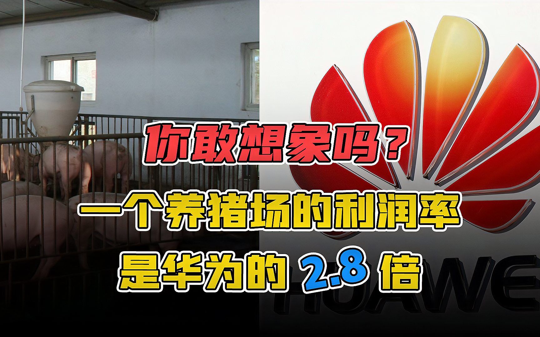 一个养猪场,年营收593亿,净利润率是华为的2.8倍!凭啥?