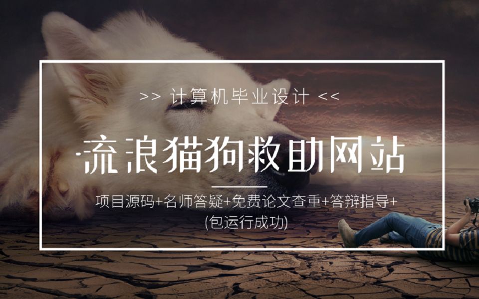 计算机毕设(包运行成功)|计算机毕业设计之-流浪猫狗救助网站(ssm) | ...