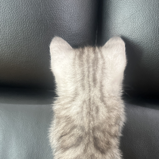 来一杯千岛湖beer 