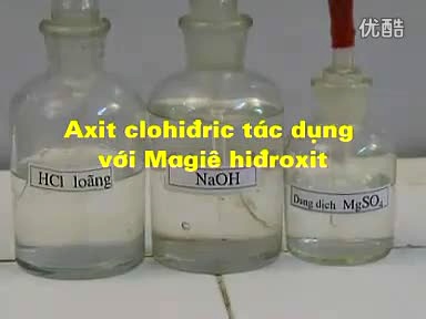 硫酸镁溶液、氢氧化钠溶液与盐酸三者间的反应