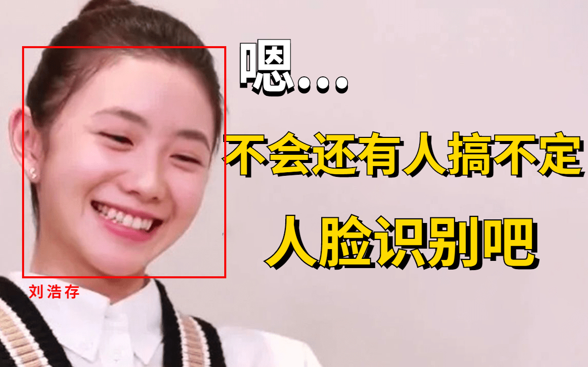 【有框你不打?】只需半天就能搞定人脸识别项目!一个课程学了就会了!...