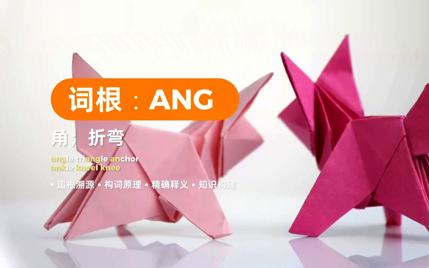 小荷露尖角,绽放会有时:一目了然词根串讲(ANG构成单词1-6)